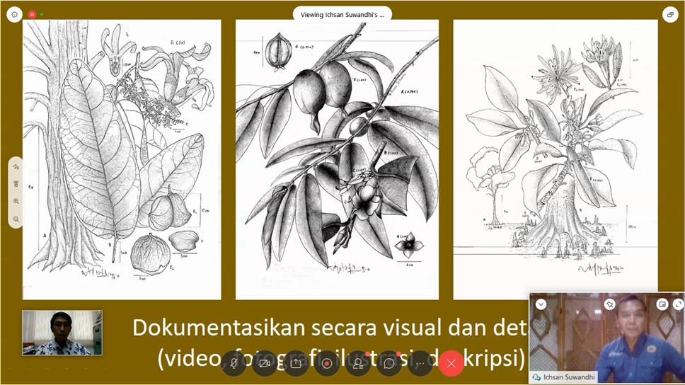 Pahami Flora Pegunungan, Mahasiswa Dendrologi UGM-ITB-UNS Kuliah Online ...